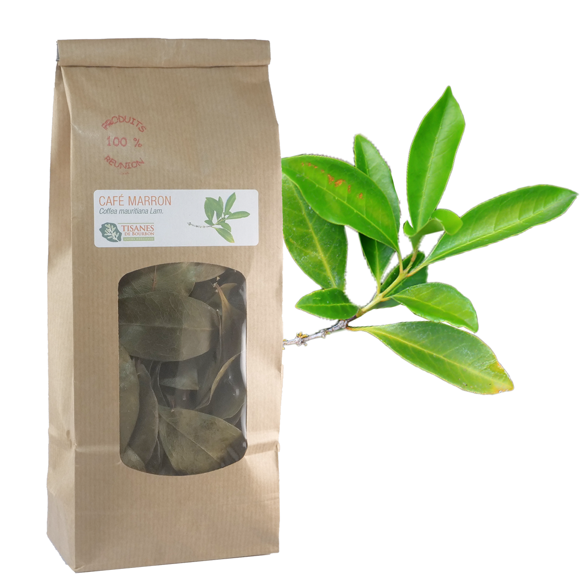 Café marron (Coffea mauritiana Lam.), feuilles séchées, sachet 40g ...